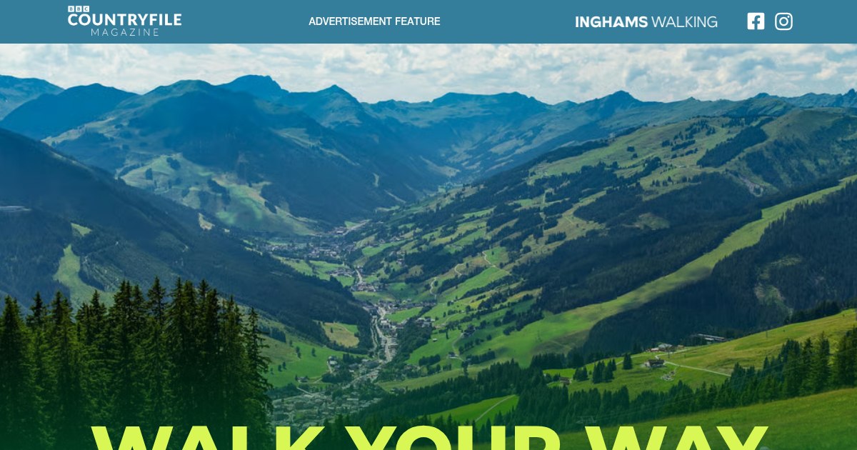 Inghams: Walk your way